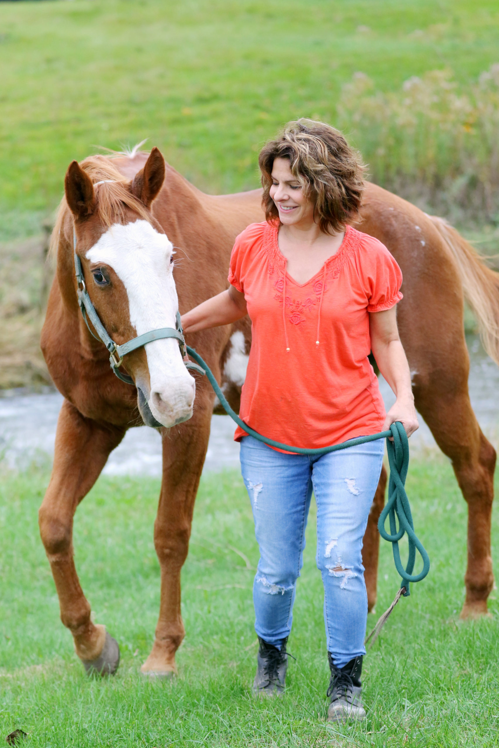 Horses - Ready Set Ride